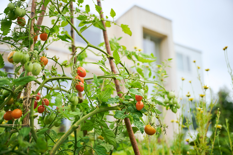 MAISON SHIRO メゾンシロ